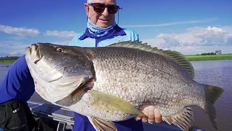 Lexa HD – Daiwa US