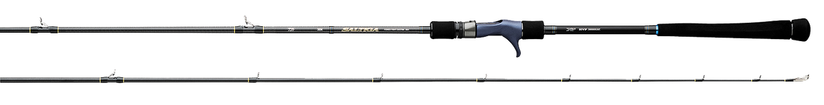 SALTWATER RODS – Daiwa US