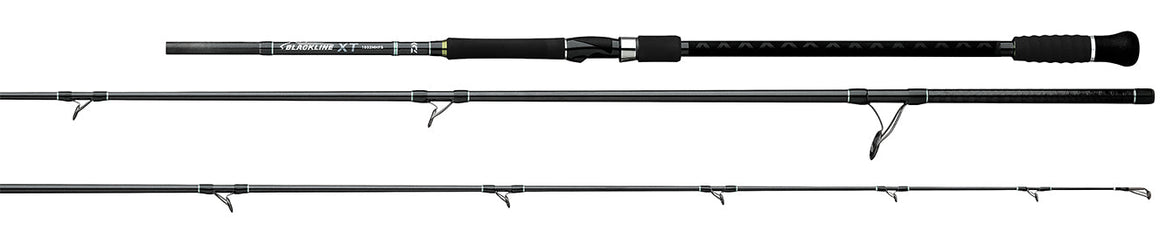 SURF RODS – Daiwa US